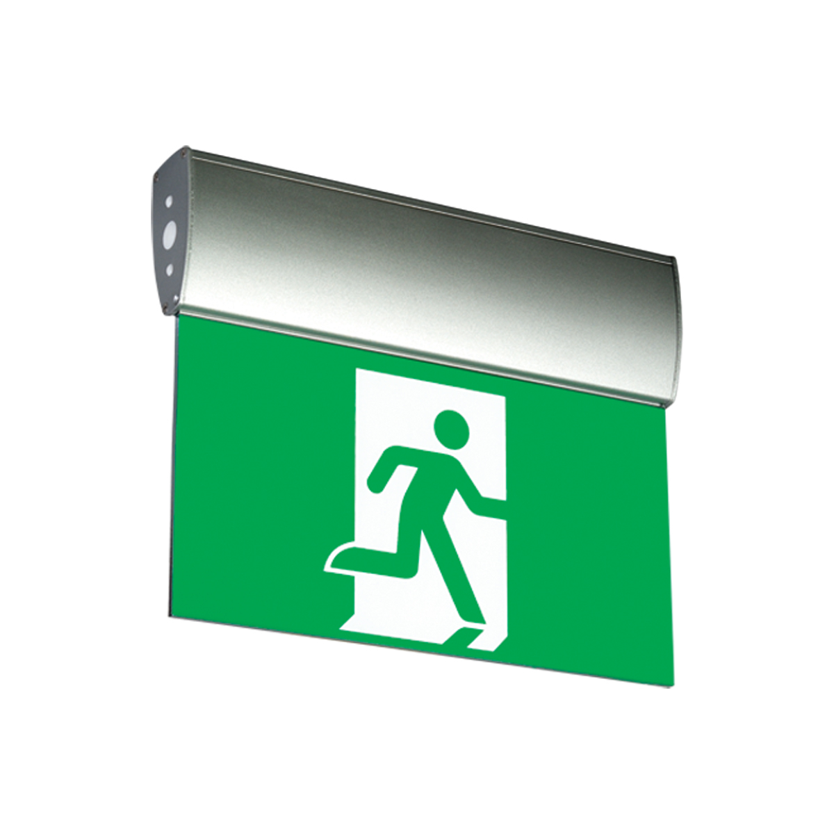 EMERGI-LITE EAE1OWU Exit Pictogram Exit Sign Aluminum 1 Faces Surface ...